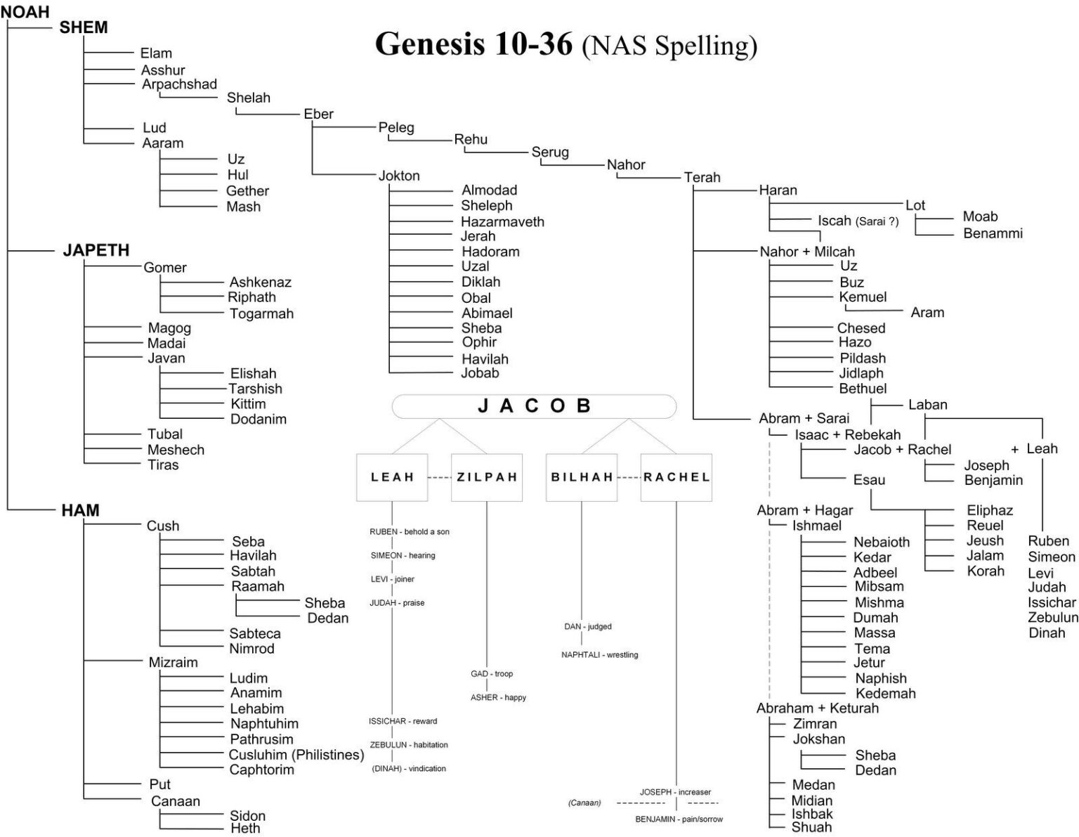 Printable Bible Family Tree - Premium Printable